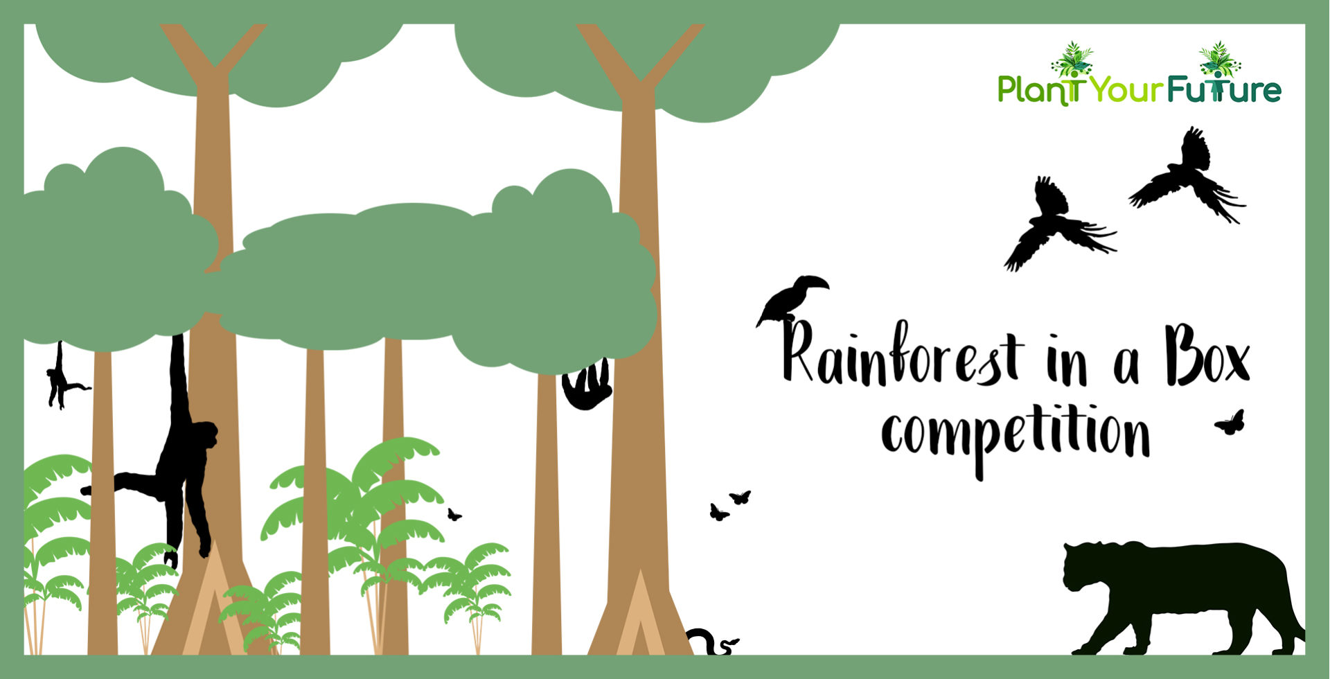 Winners of our Rainforest in a Box competition announced! – Plant Your ...