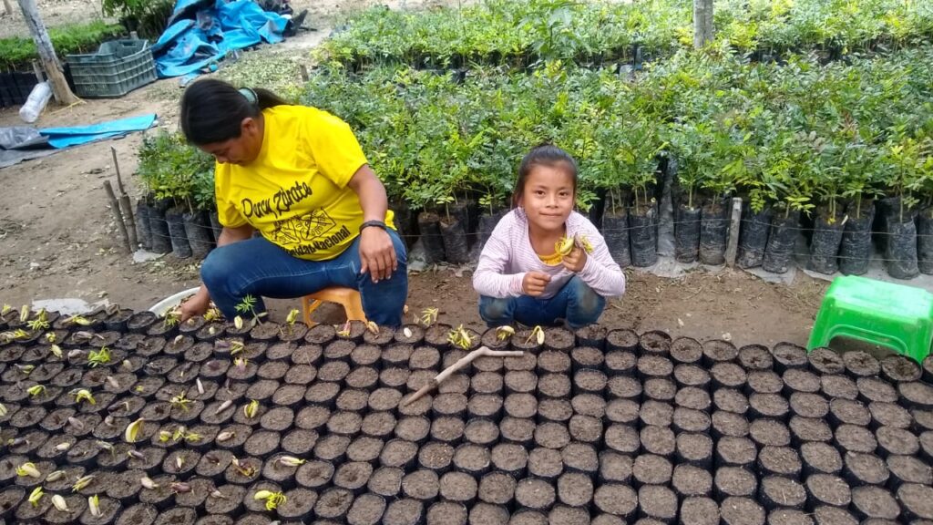 Building back stronger in the Amazon post-COVID – Plant Your Future