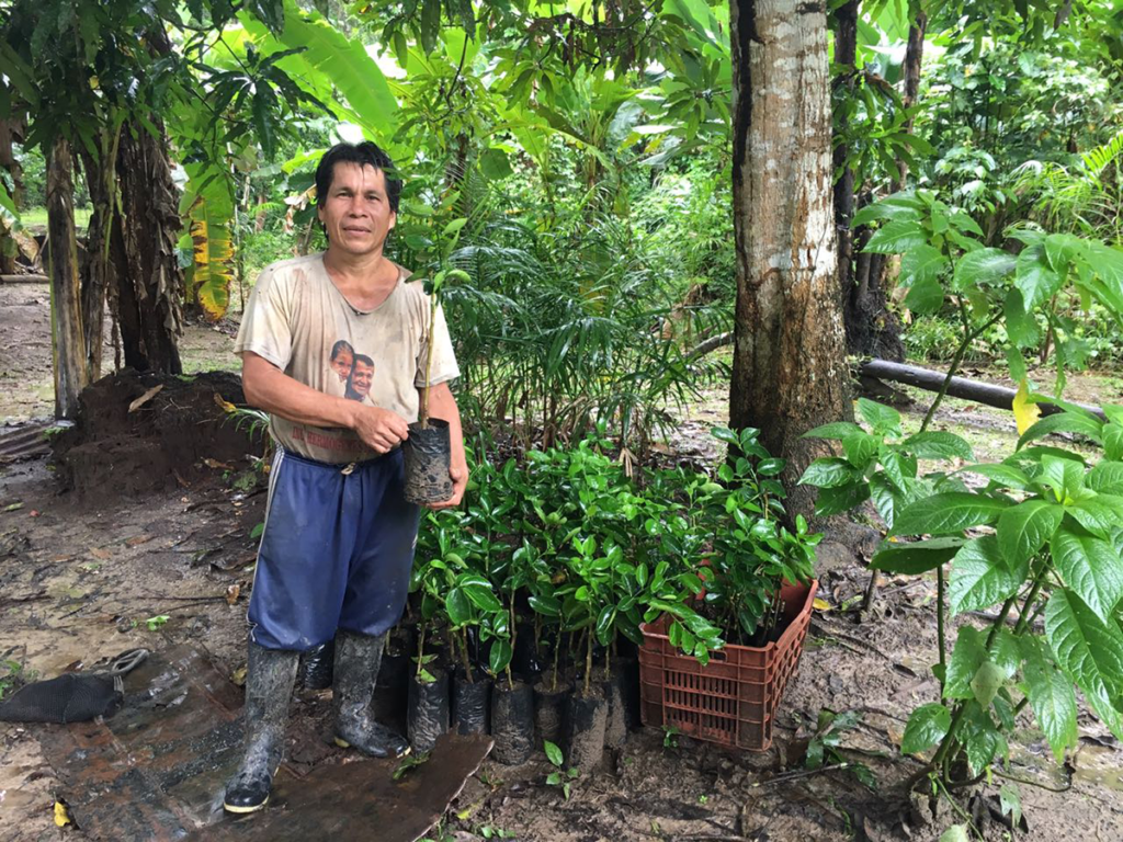 Joining forces to restore the rainforest – Plant Your Future