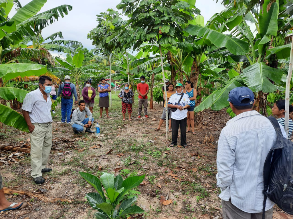 Action in the Amazon 2020 – Plant Your Future