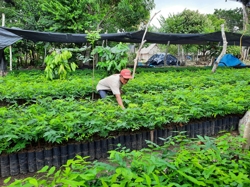 Looking back on 2020: a significant year – Plant Your Future